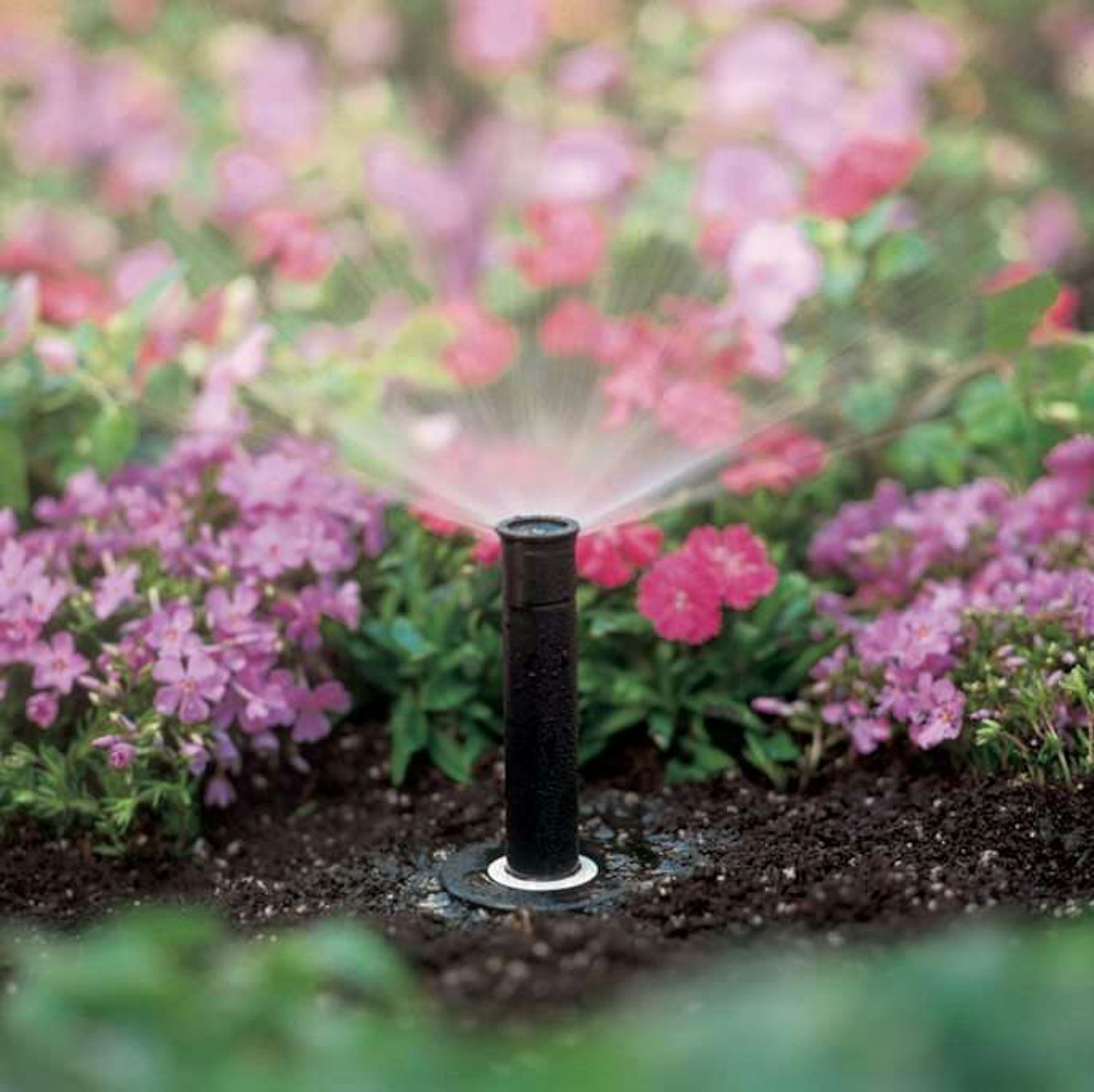 Springtime sprinkler tune-up tips | Total Landscape Care