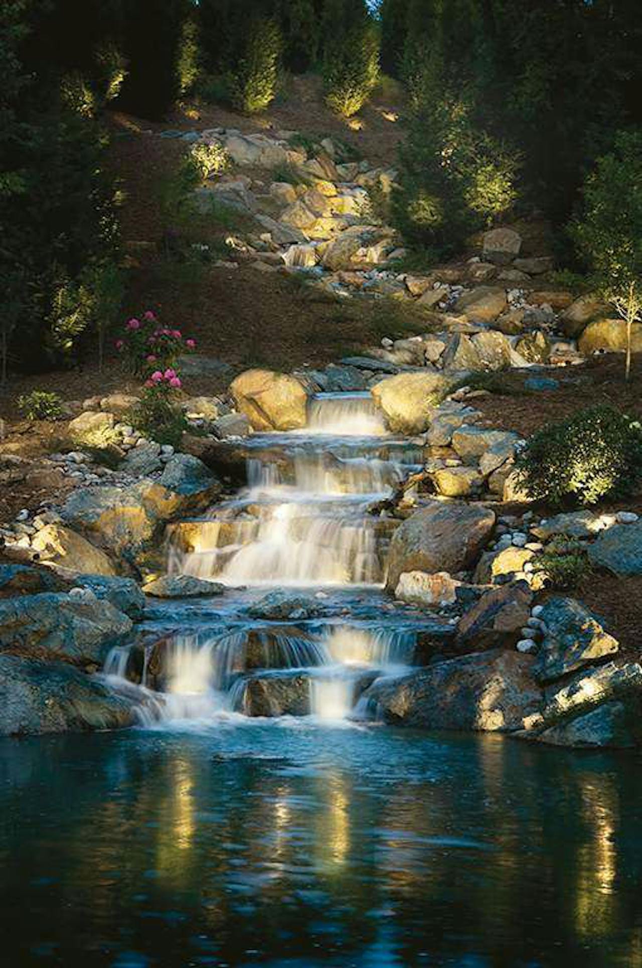 6 principles of lighting water features | Total Landscape Care
