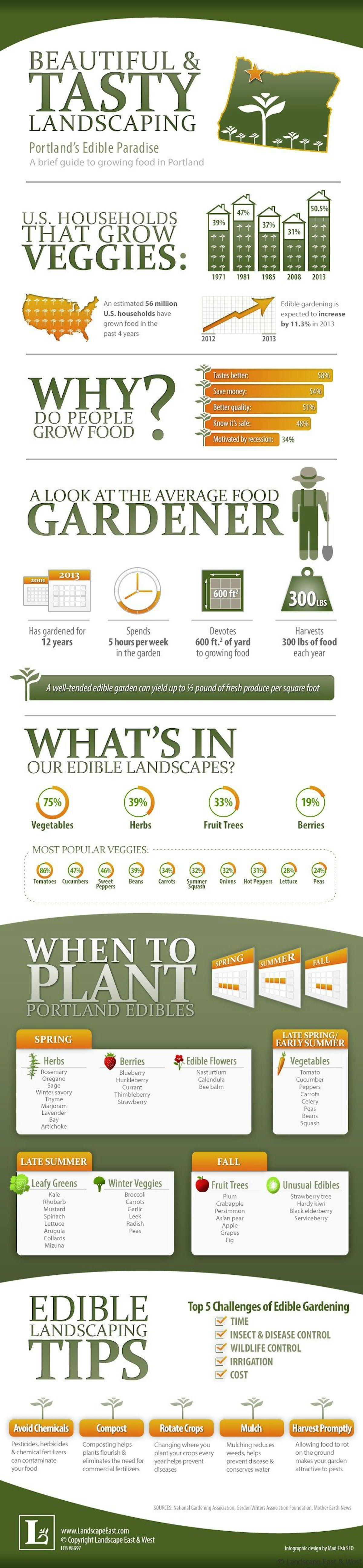 infographic landscape