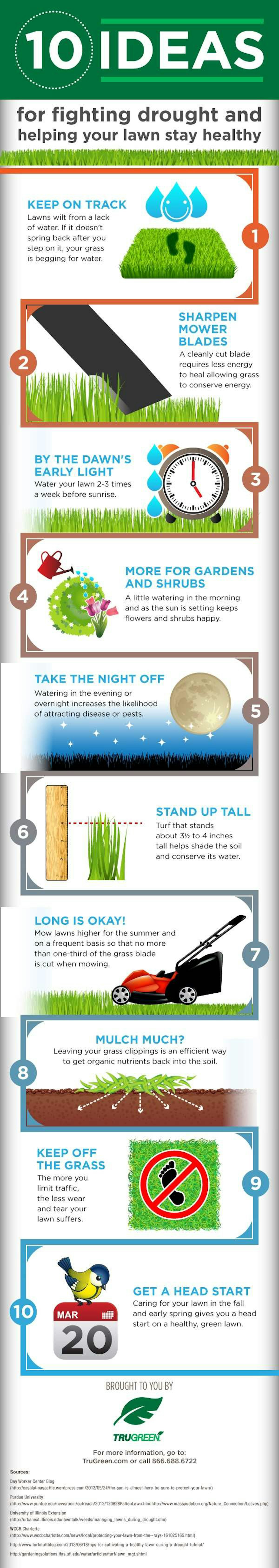 [Infographic] How To Fight Drought | Total Landscape Care