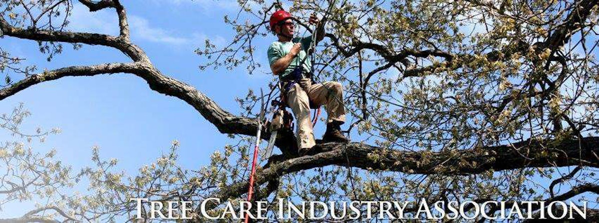 TCIA to Host Webinar on Accreditation Process | Total Landscape Care