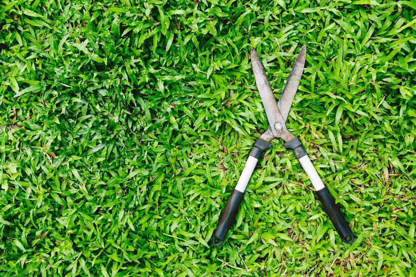 Teaching your customers how to achieve greener grass (Printable ...