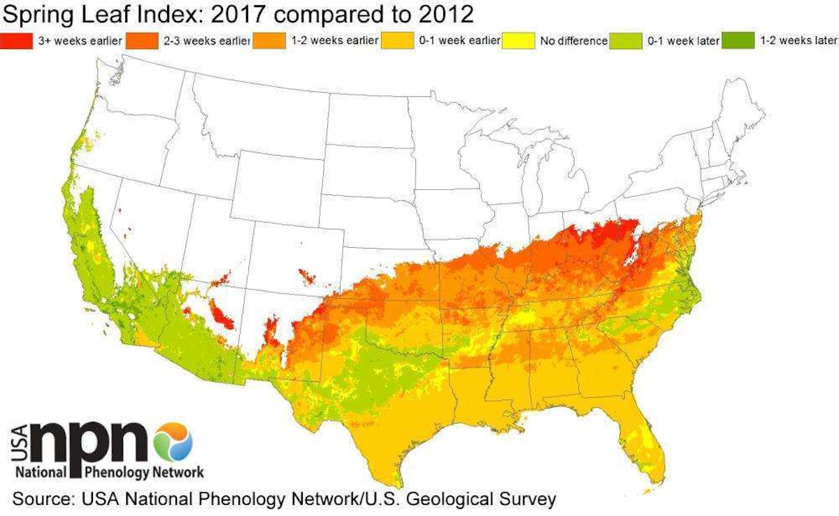National Phenology Network created maps that track spring | Total ...