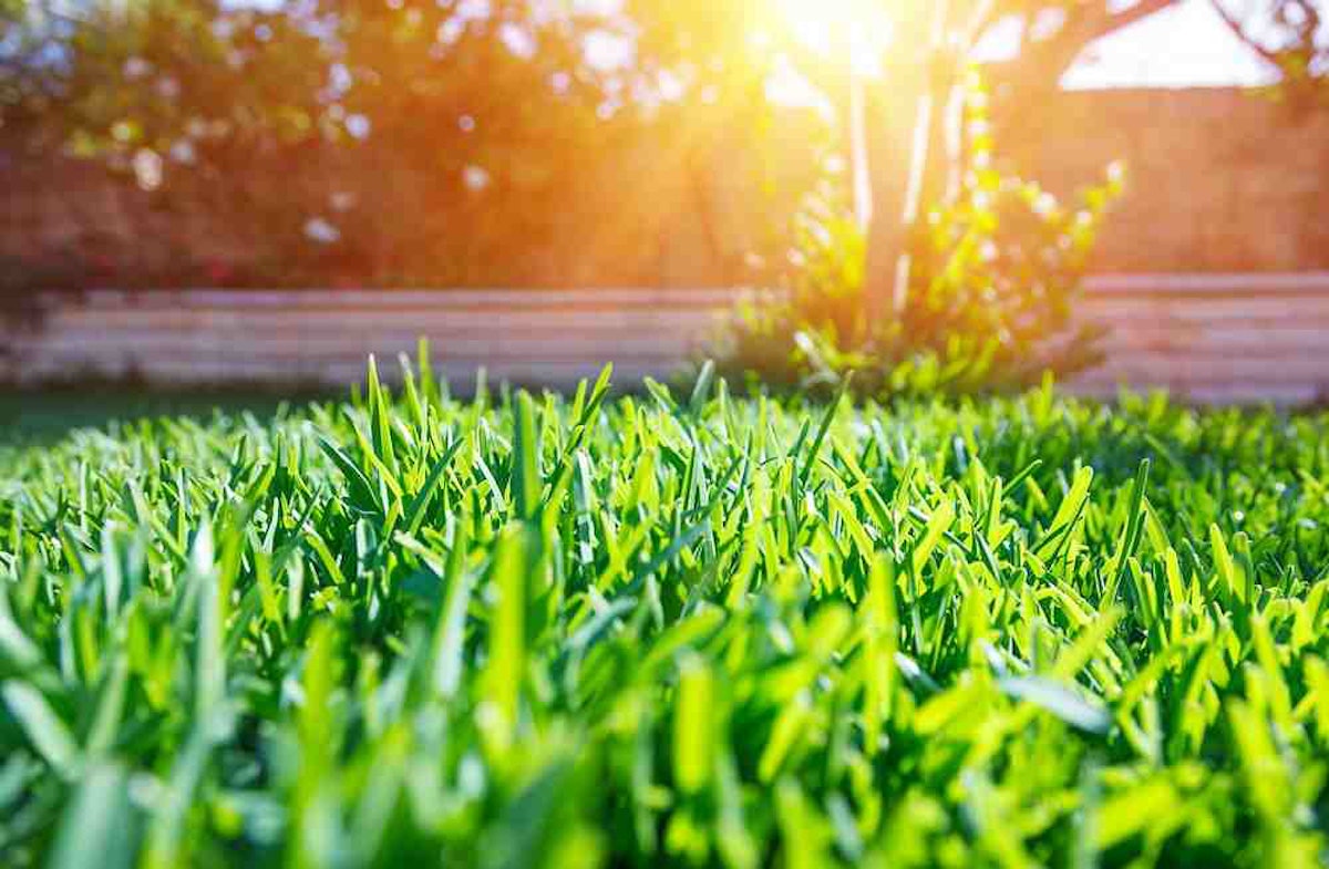 Using sun and shadows to your advantage landscape design | Total ...
