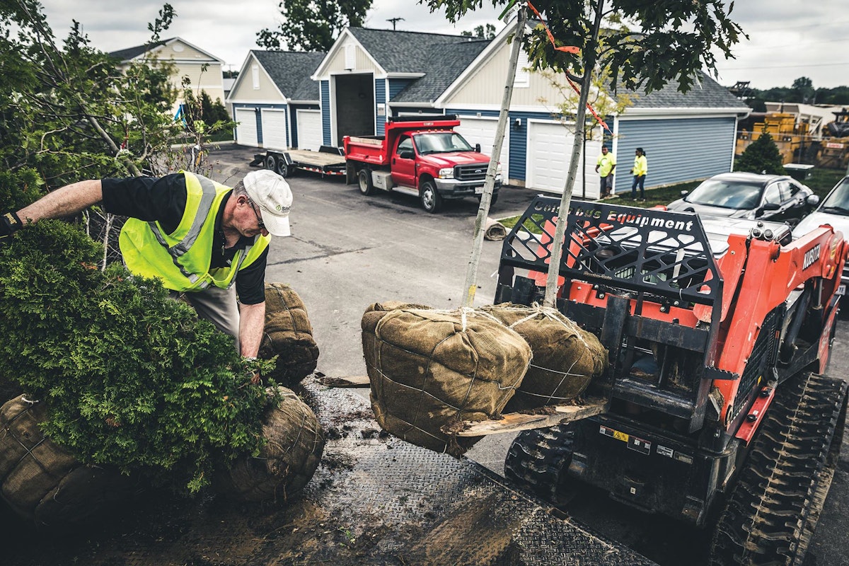 Tree transportation from shipping to holding for landscapers | Total ...