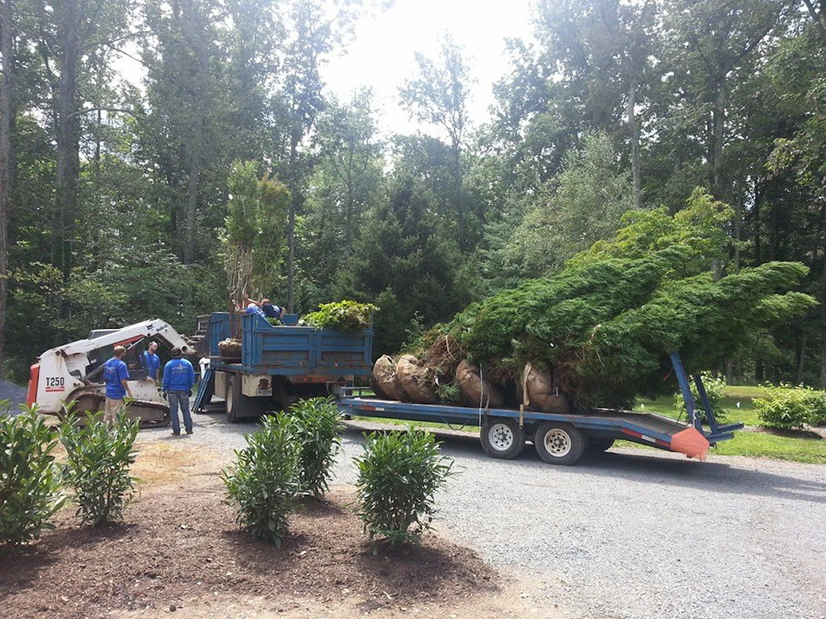 Advice for landscapers on planting trees in fall | Total Landscape Care