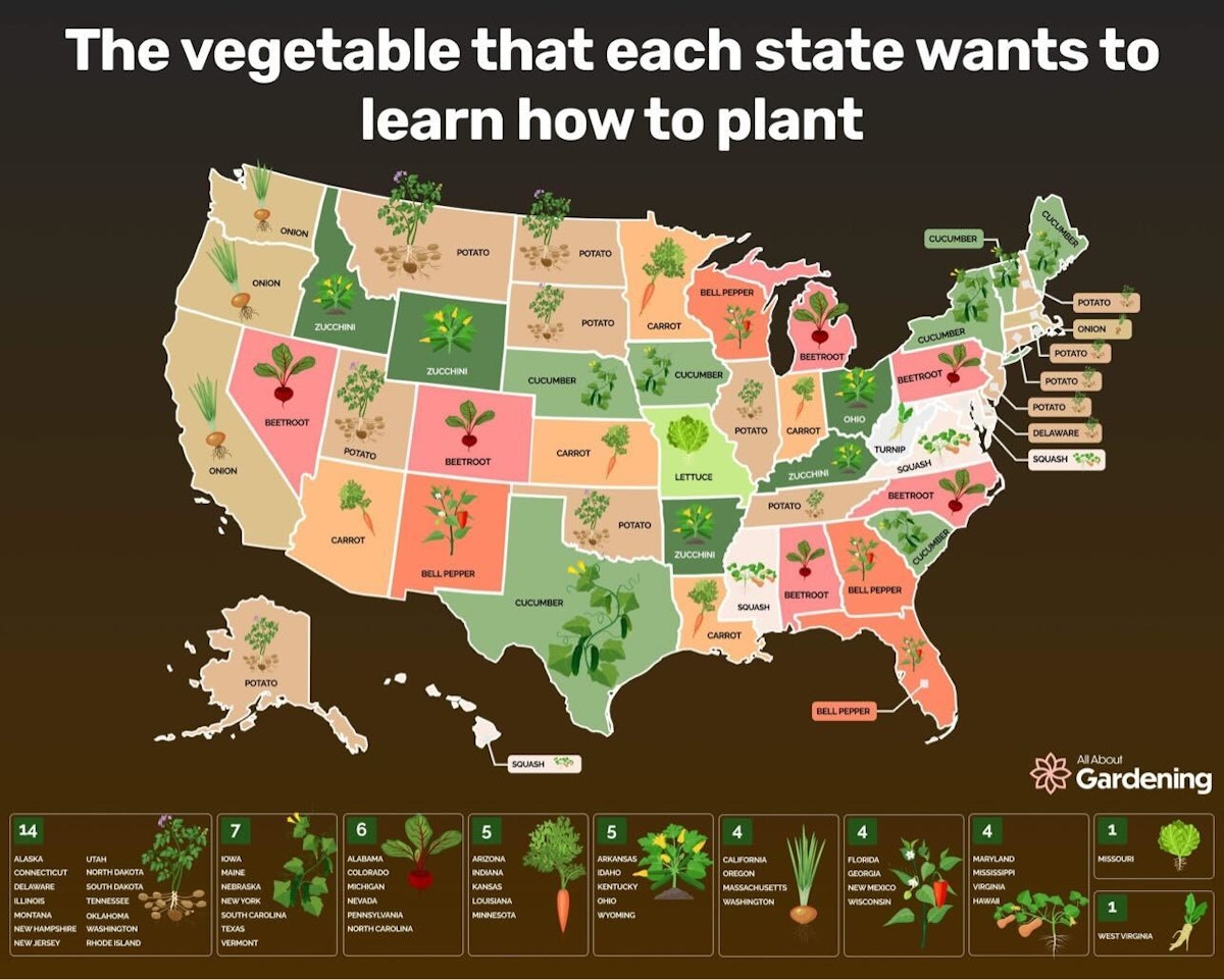 America's favorite vegetables and how to grow them | Total Landscape Care