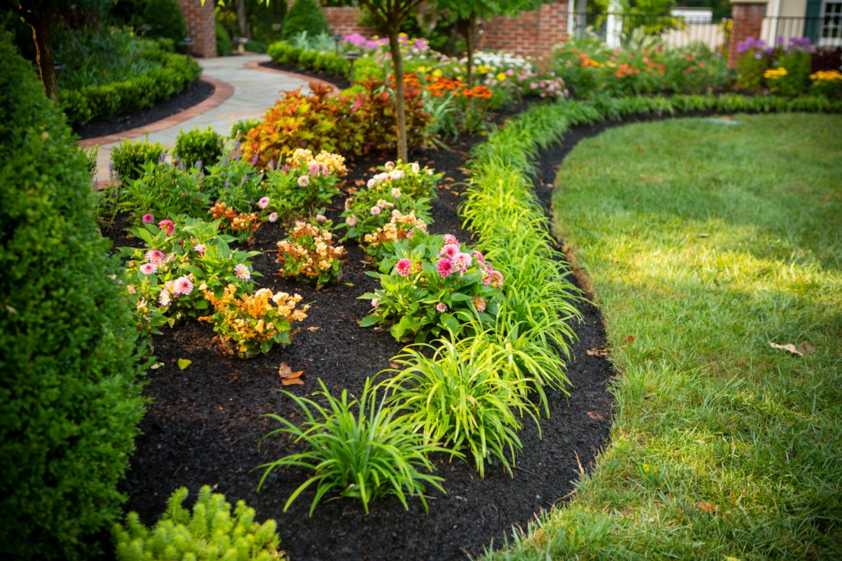 How to incorporate color into landscape designs | Total Landscape Care