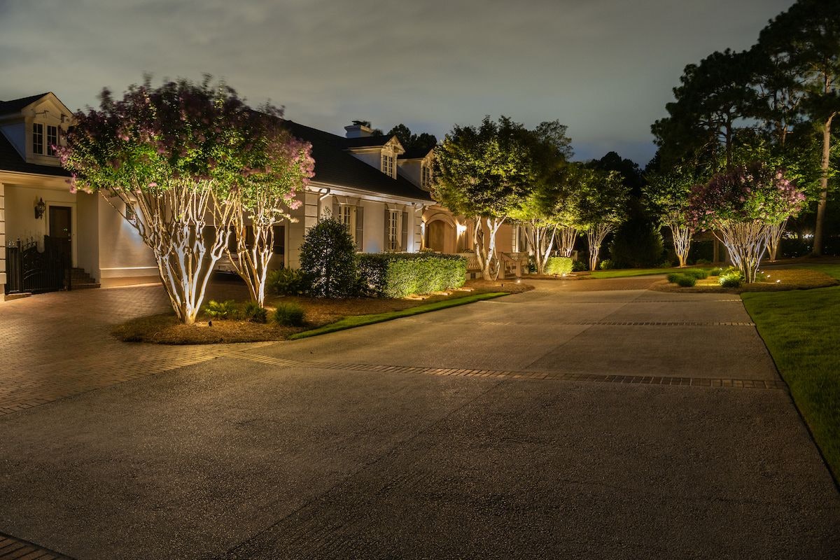 Lighting trees in the landscape | Total Landscape Care
